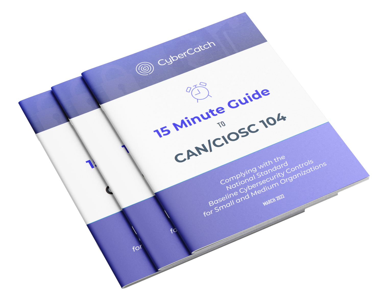 Partnership with Canadian SME - CyberCatch